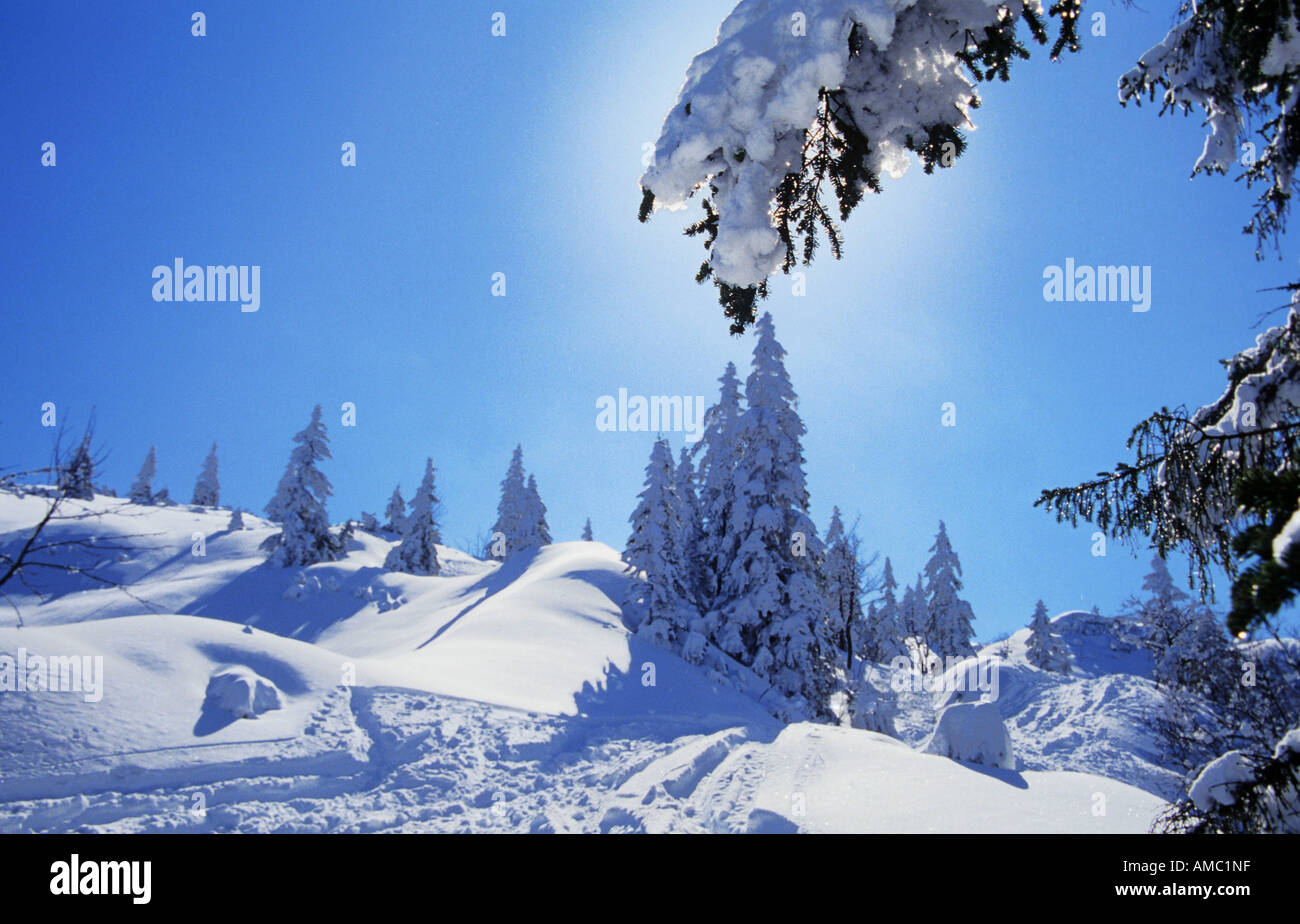 Bavaria : landscape - snow Stock Photo - Alamy