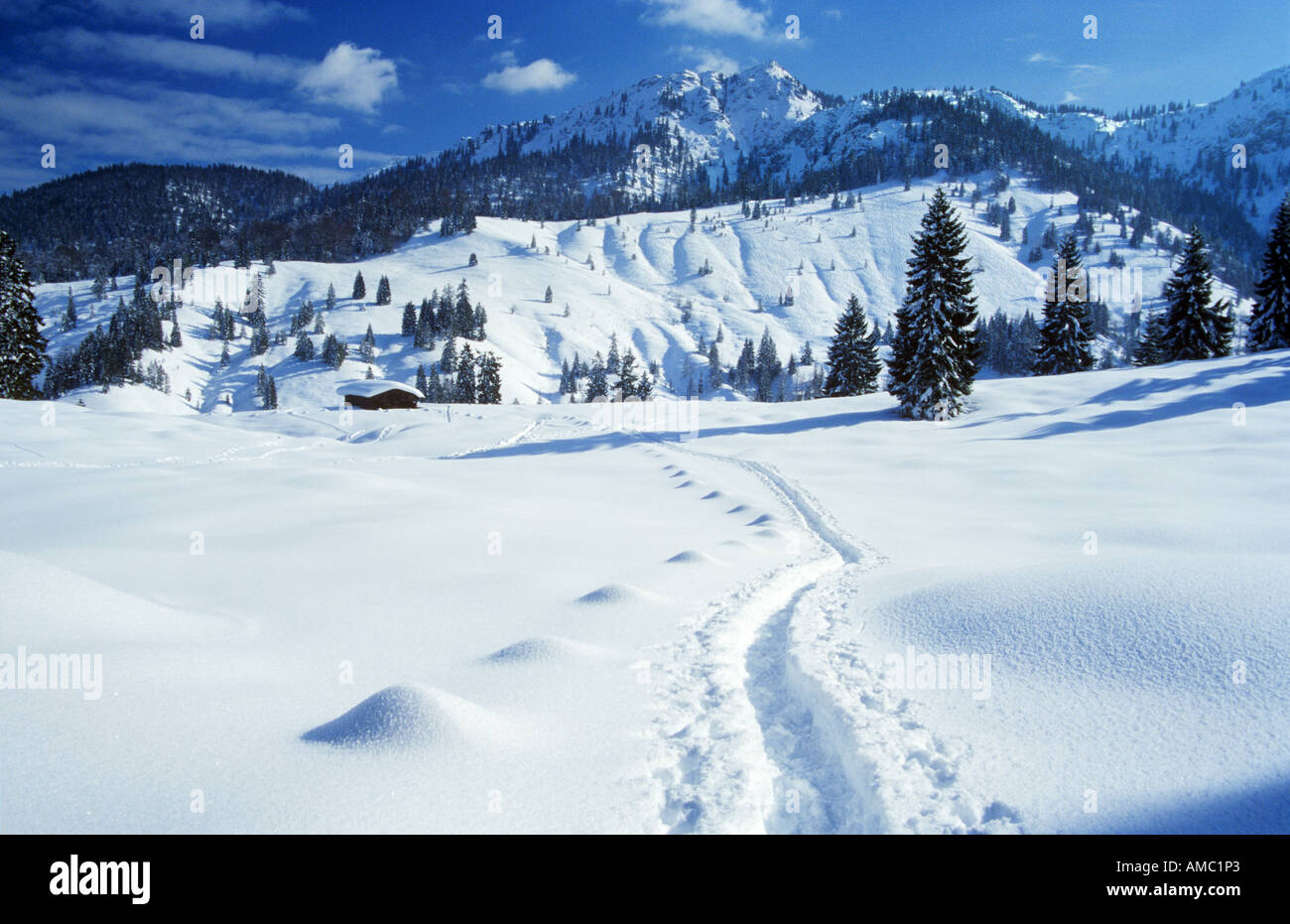 Bavaria : landscape - snow Stock Photo - Alamy