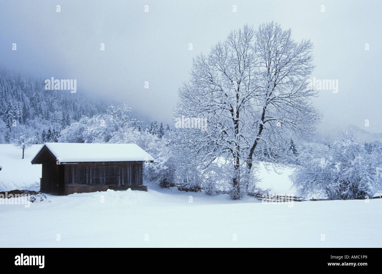 Bavaria : landscape - snow Stock Photo - Alamy