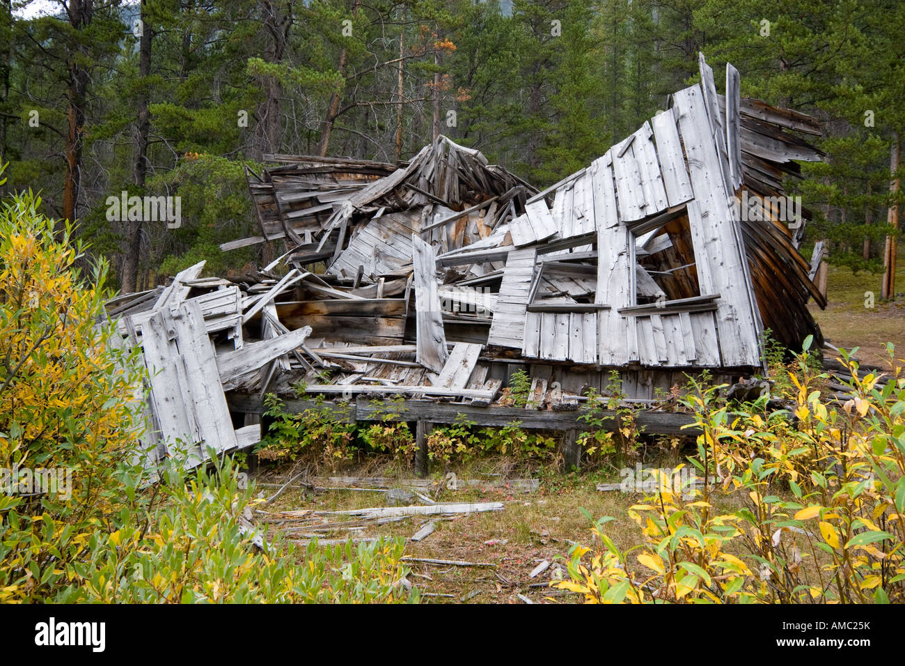 Collapsed wood building in the ghost town of Coolidge, Montana Stock ...