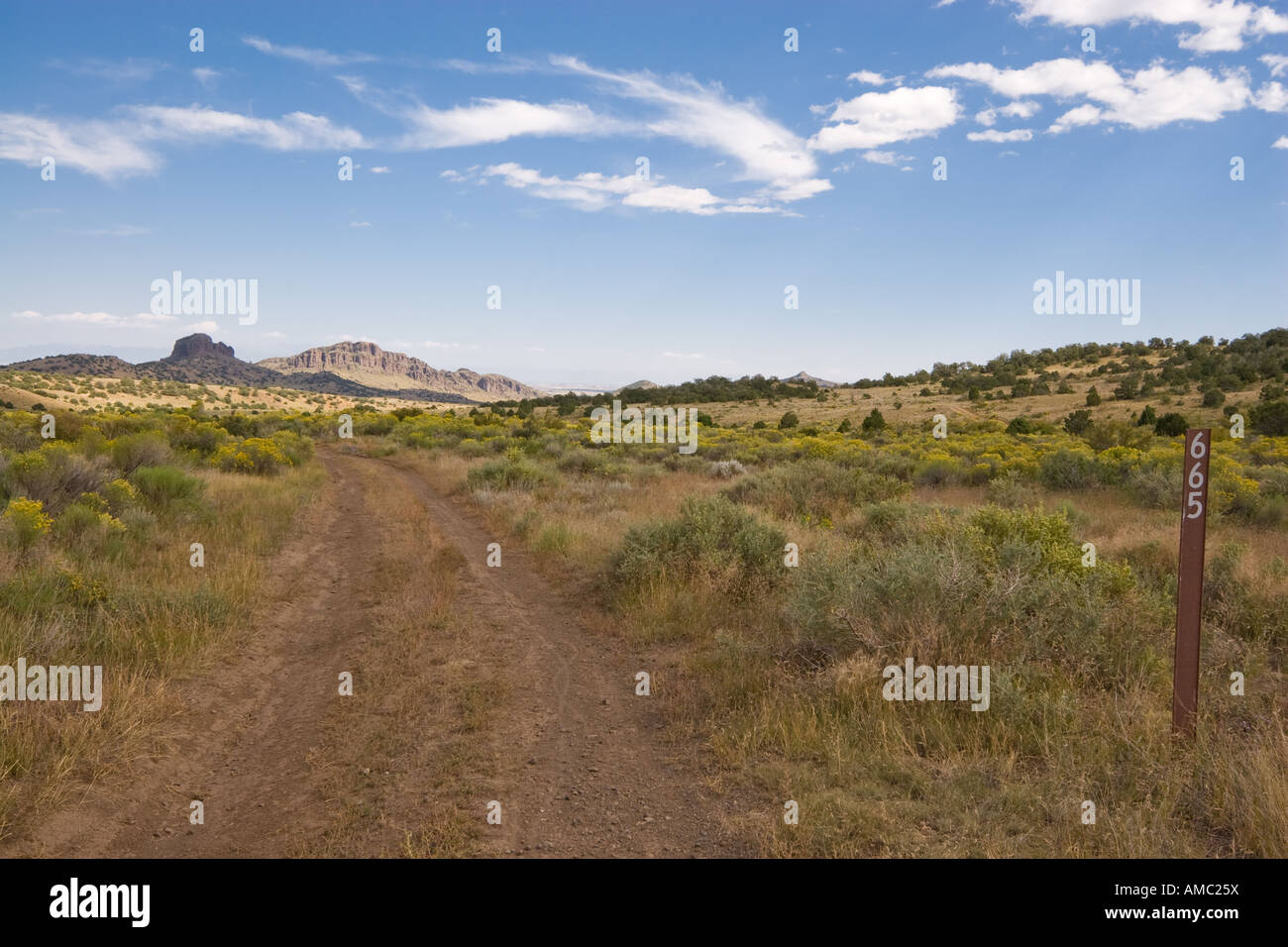 Forest road 665, part of the Great Divide Mountain Bike Route, in the ...