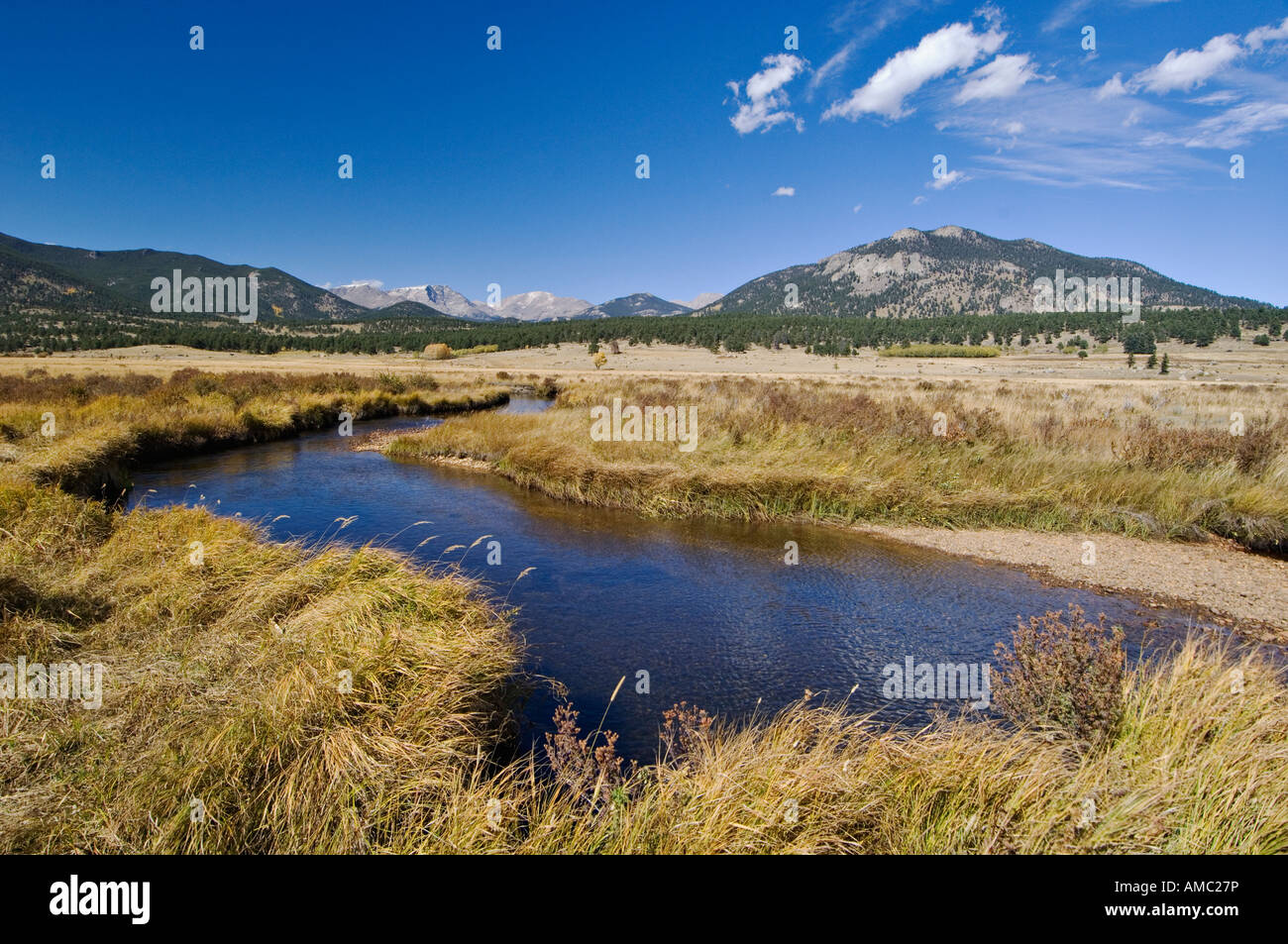 Big Thompson River Flowing Through Grasslands in Moraine Park Rocky ...