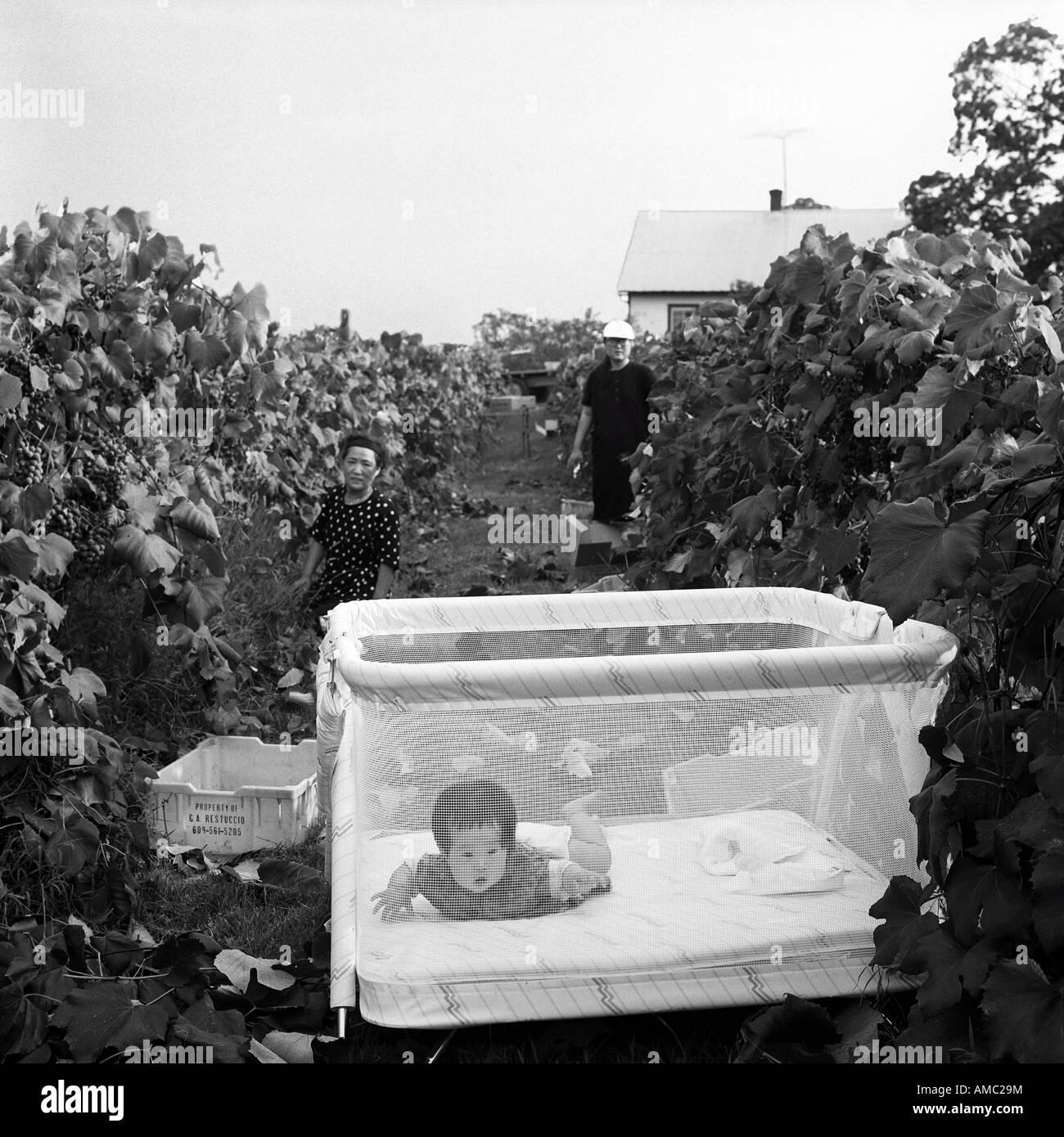 Ken Shung 0034 Stock Photo - Alamy