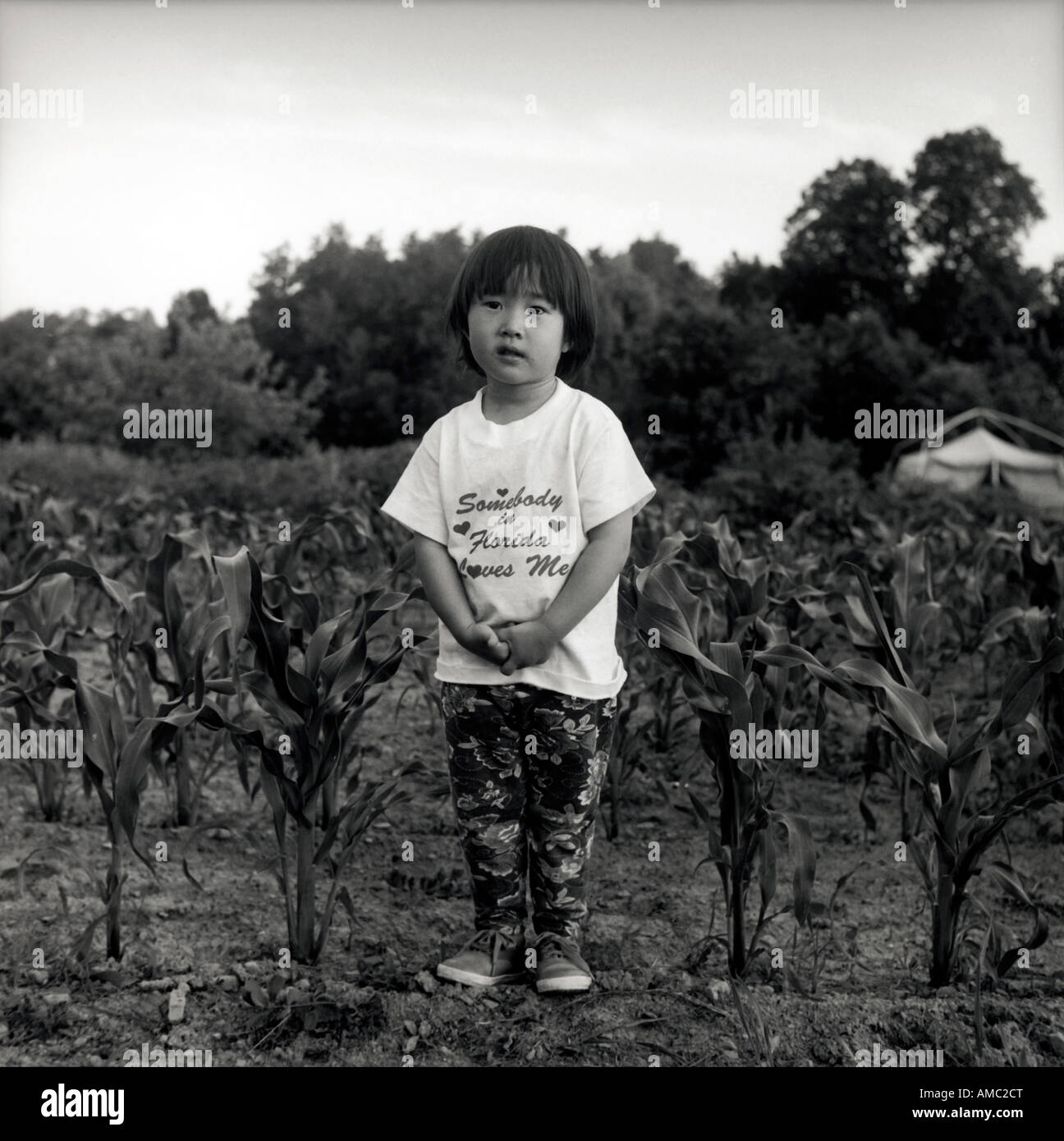 Ken Shung 0034 Stock Photo - Alamy