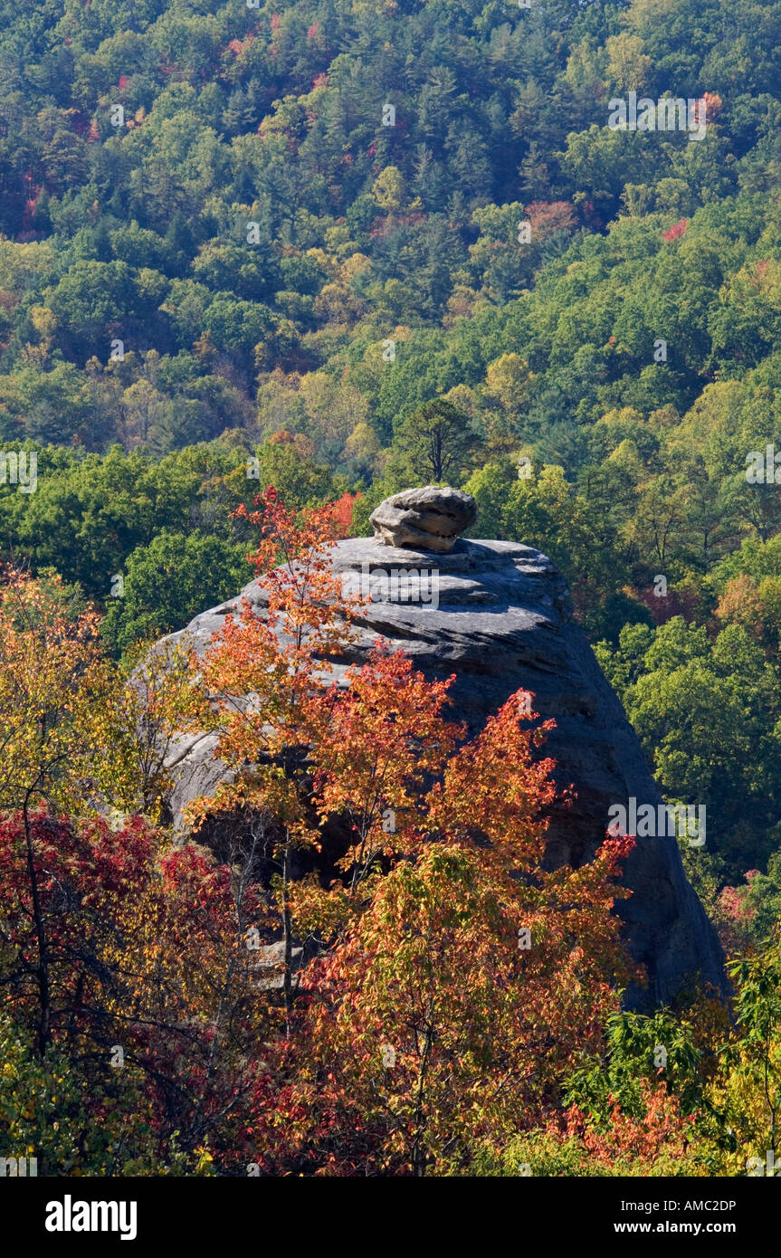 Kentucky wood red river hi-res stock photography and images - Alamy
