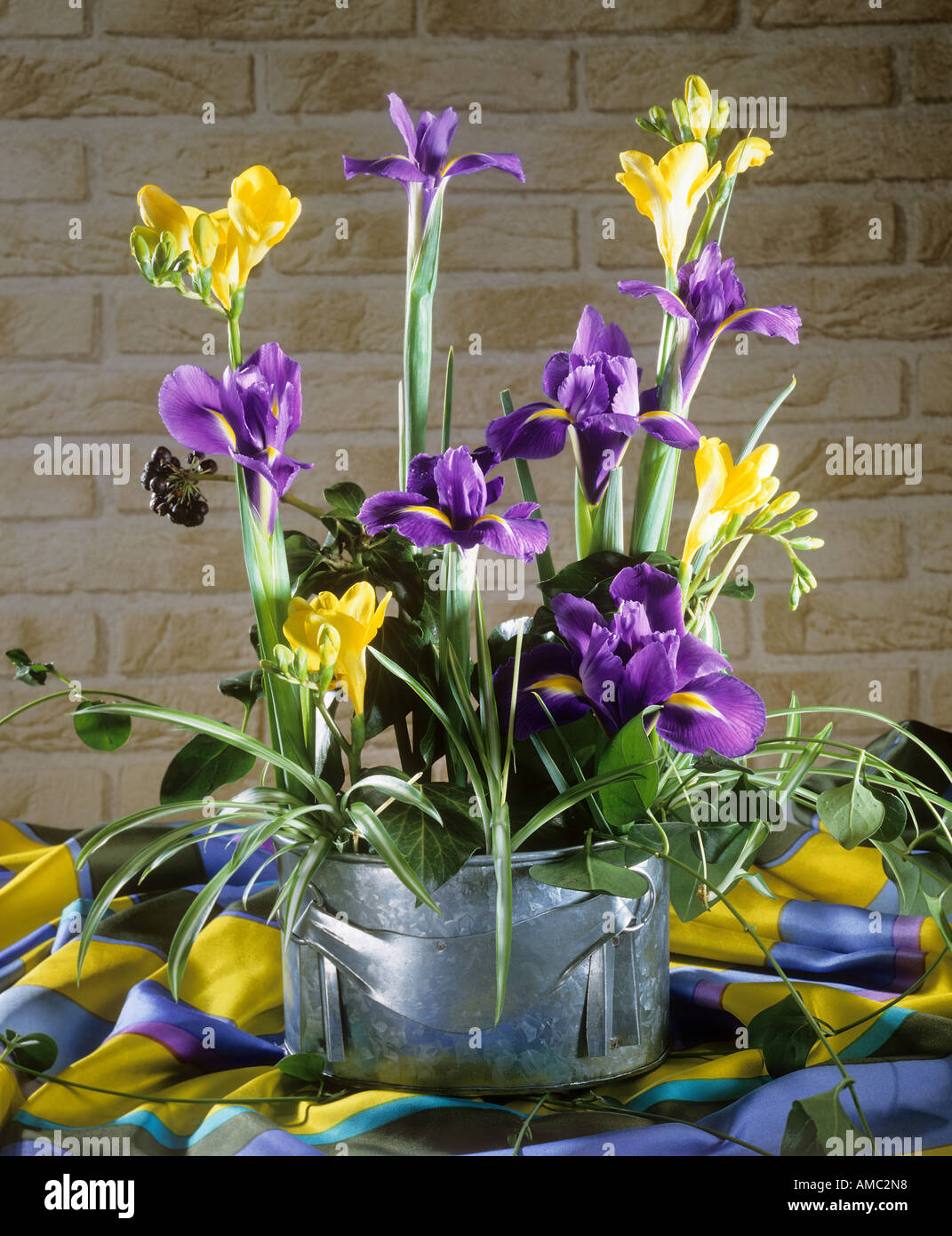 Bunch of iris hi-res stock photography and images - Alamy