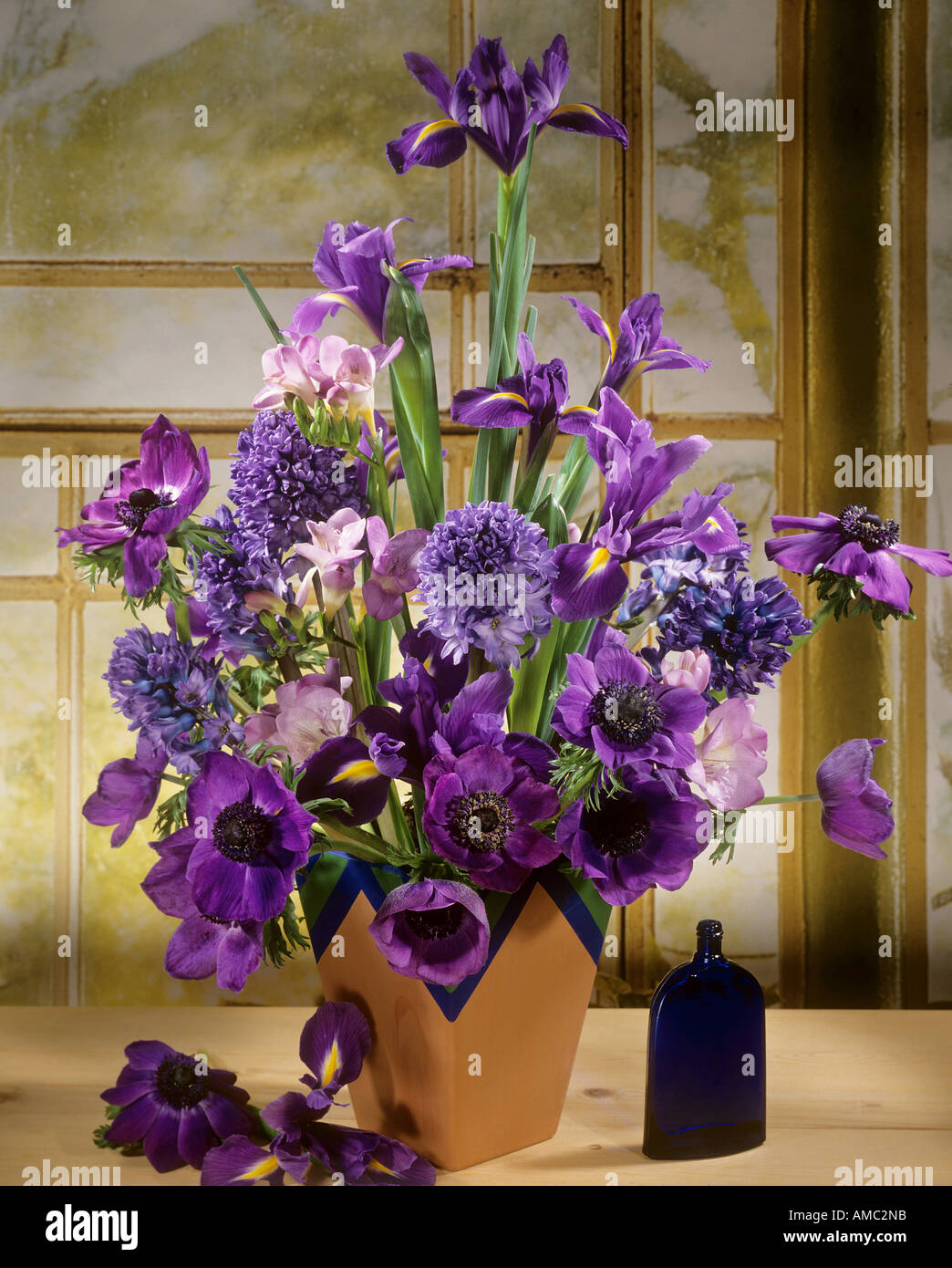 Iris flower bouquet hi-res stock photography and images - Alamy