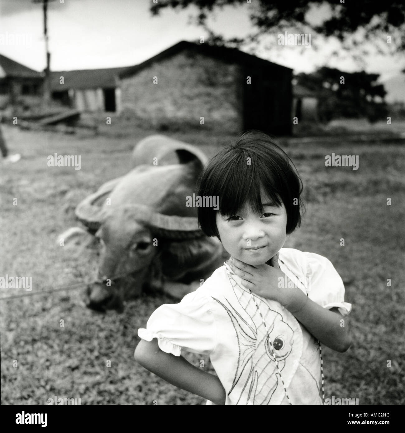 Ken Shung 0034 Stock Photo - Alamy