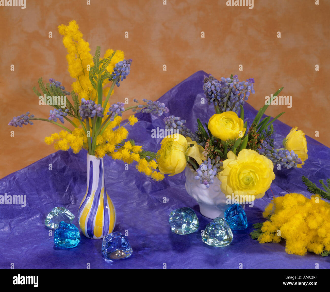 Mimosas Bouquet High Resolution Stock Photography and Images - Alamy