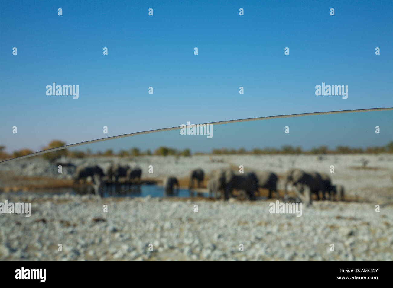 Elephants safari vehicle hi-res stock photography and images - Alamy