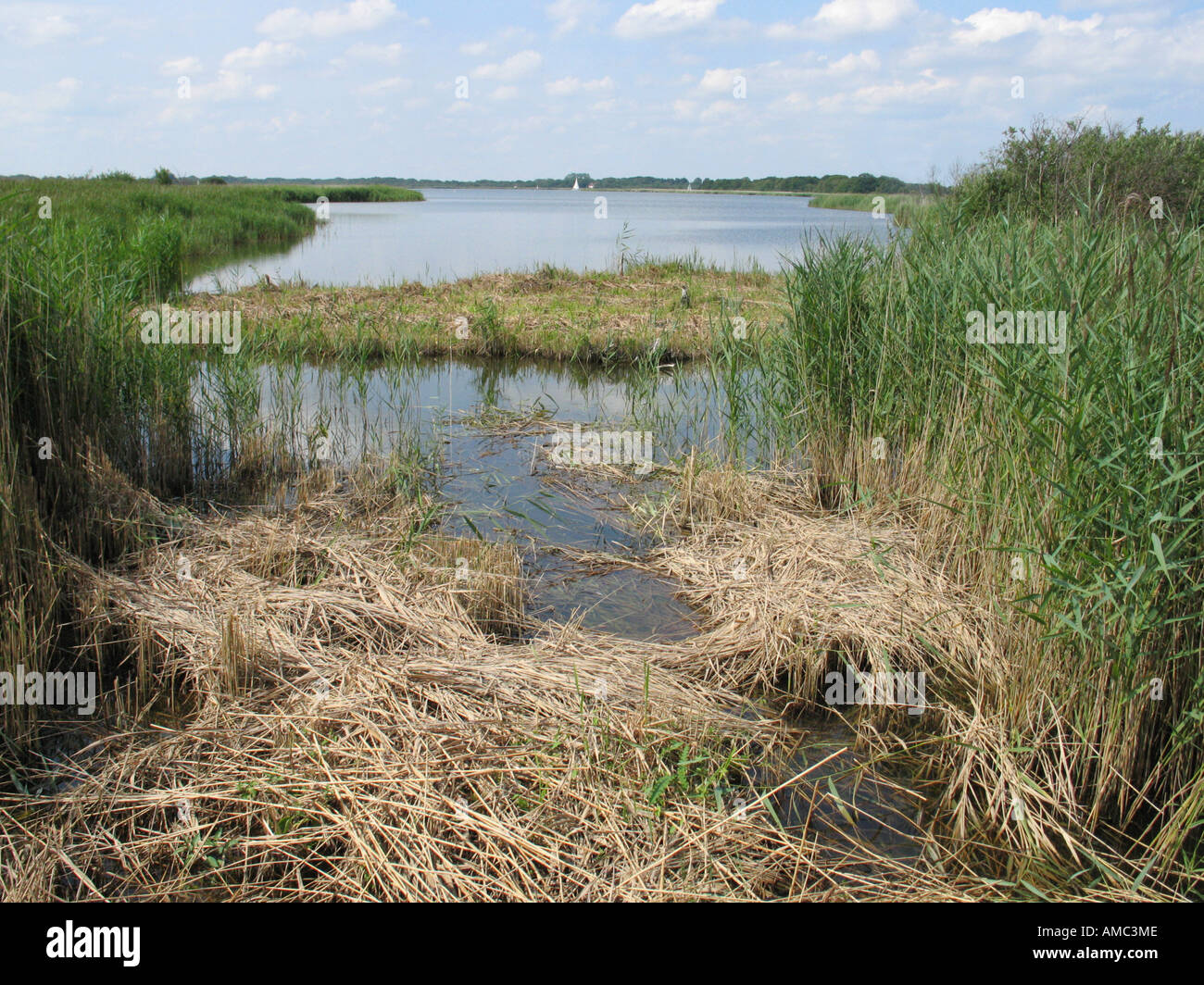 Hickling Broad, Norfolk Broads, England, UK Stock Photo - Alamy