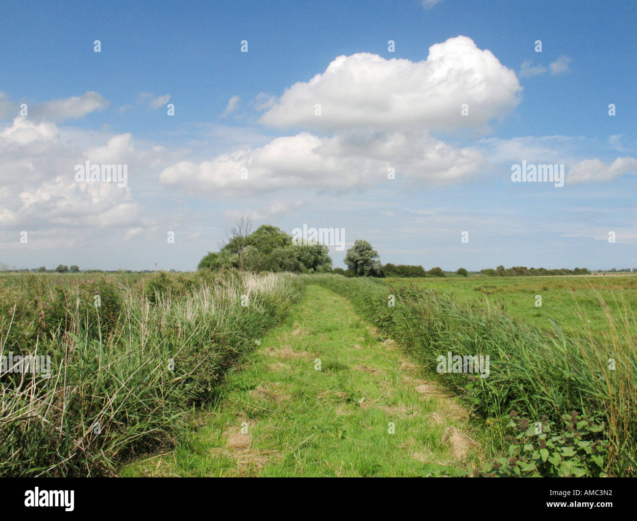 The great fen restoration hi-res stock photography and images - Alamy