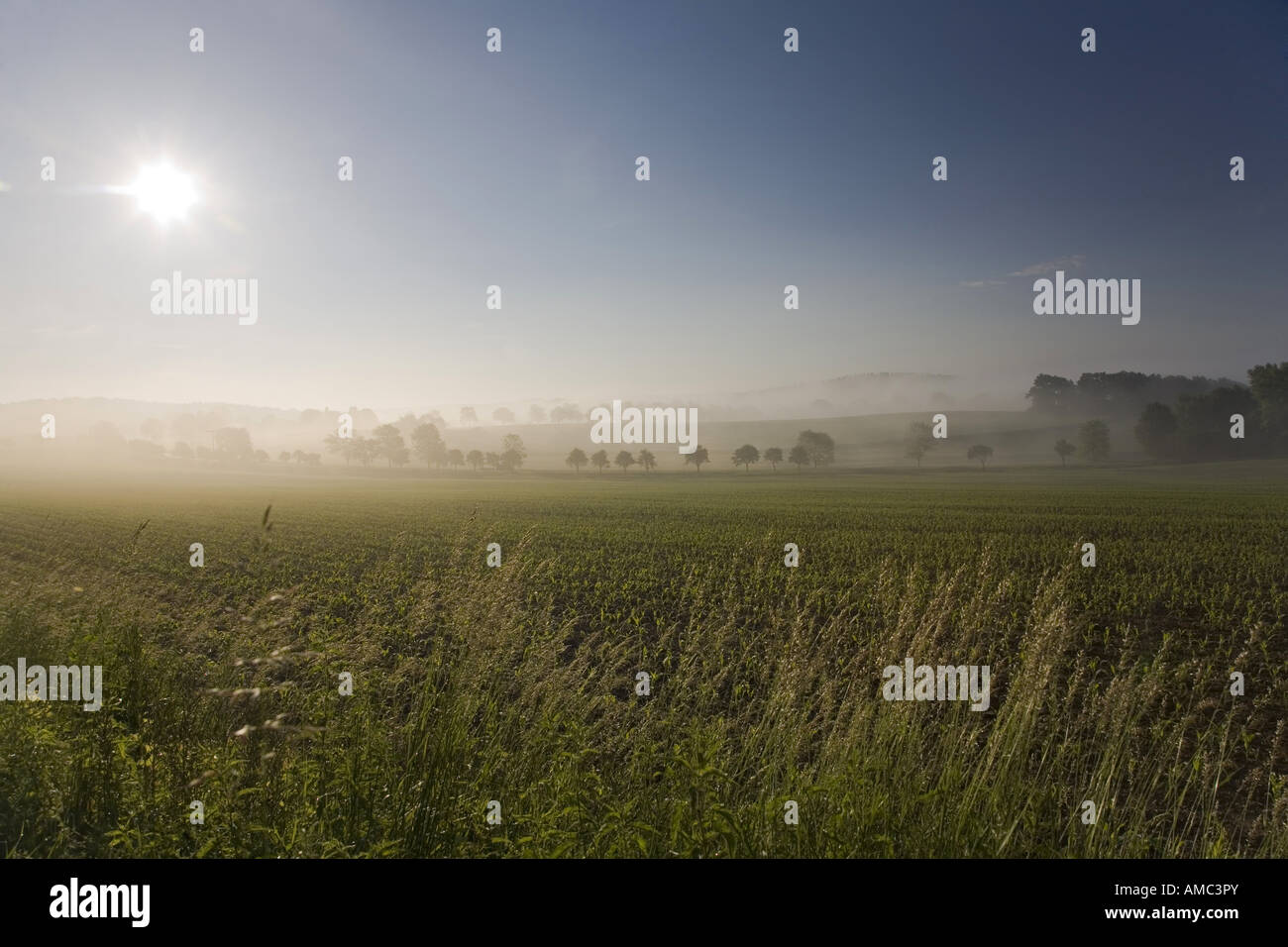 cultural landscape with morning mist, Germany, Saxony, Vogtlaendische ...