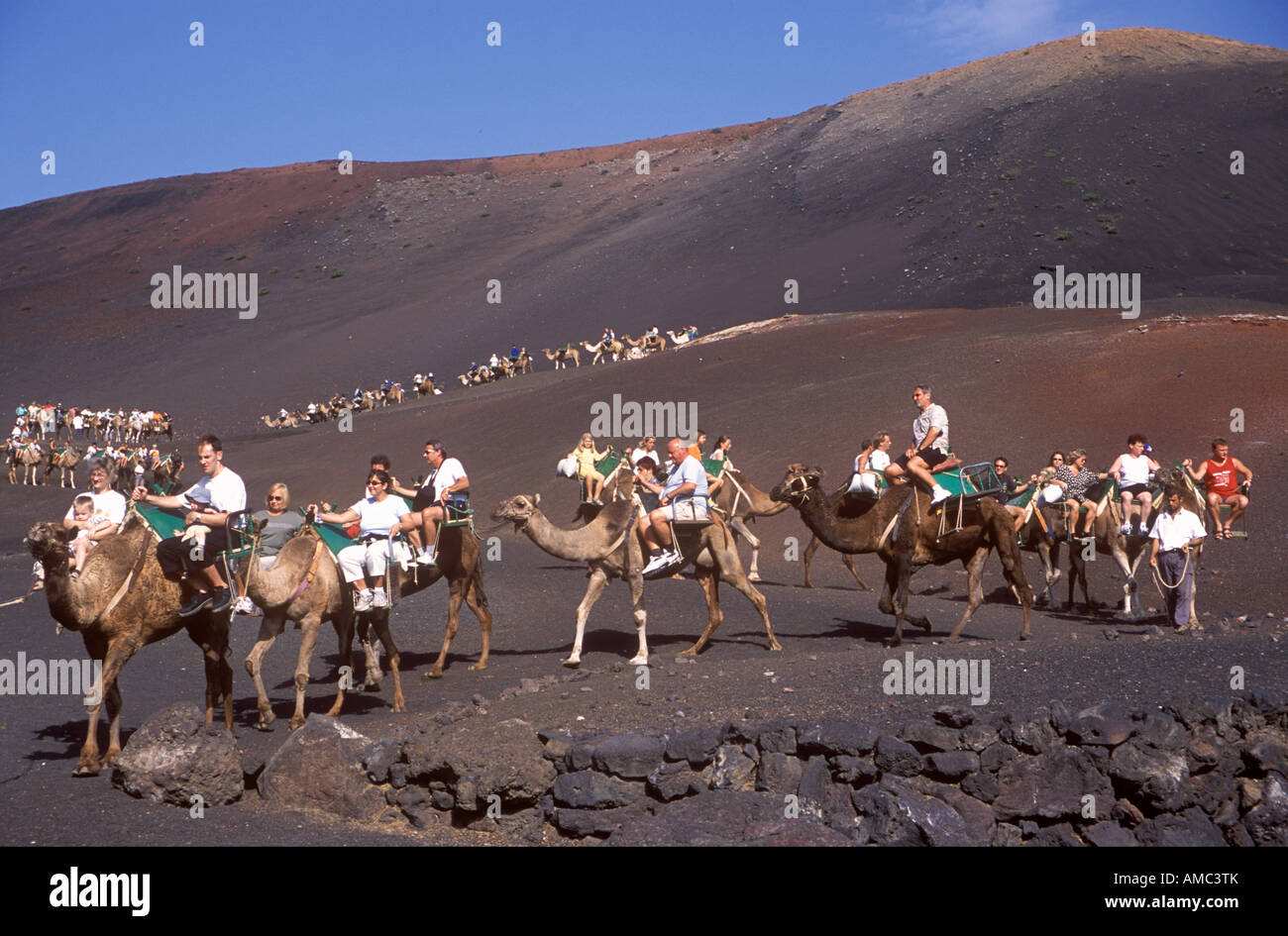 Timanfaya National Park - Camel rides on Fire Mountain Stock Photo - Alamy