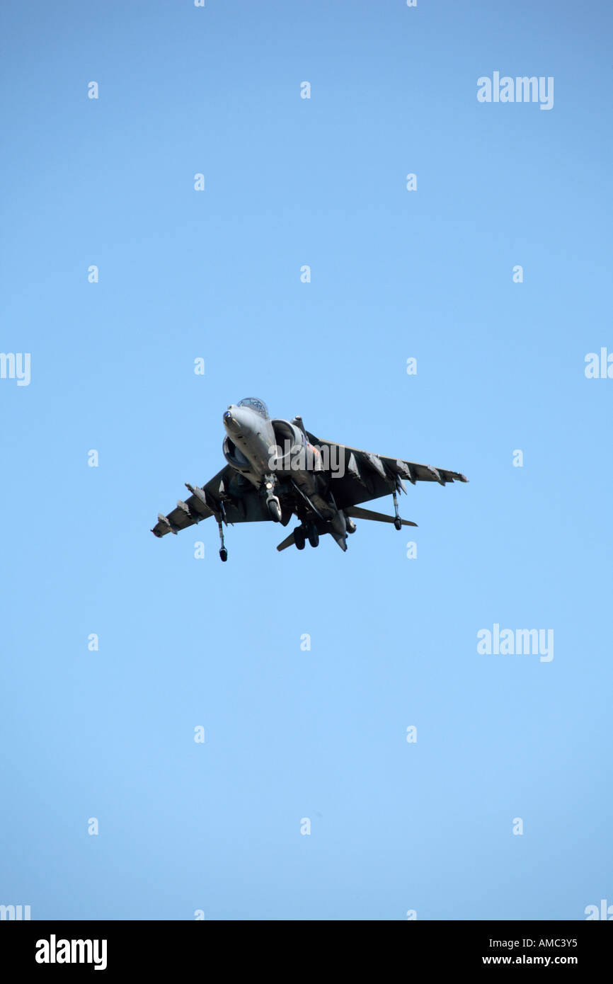 Raf harrier hi-res stock photography and images - Alamy