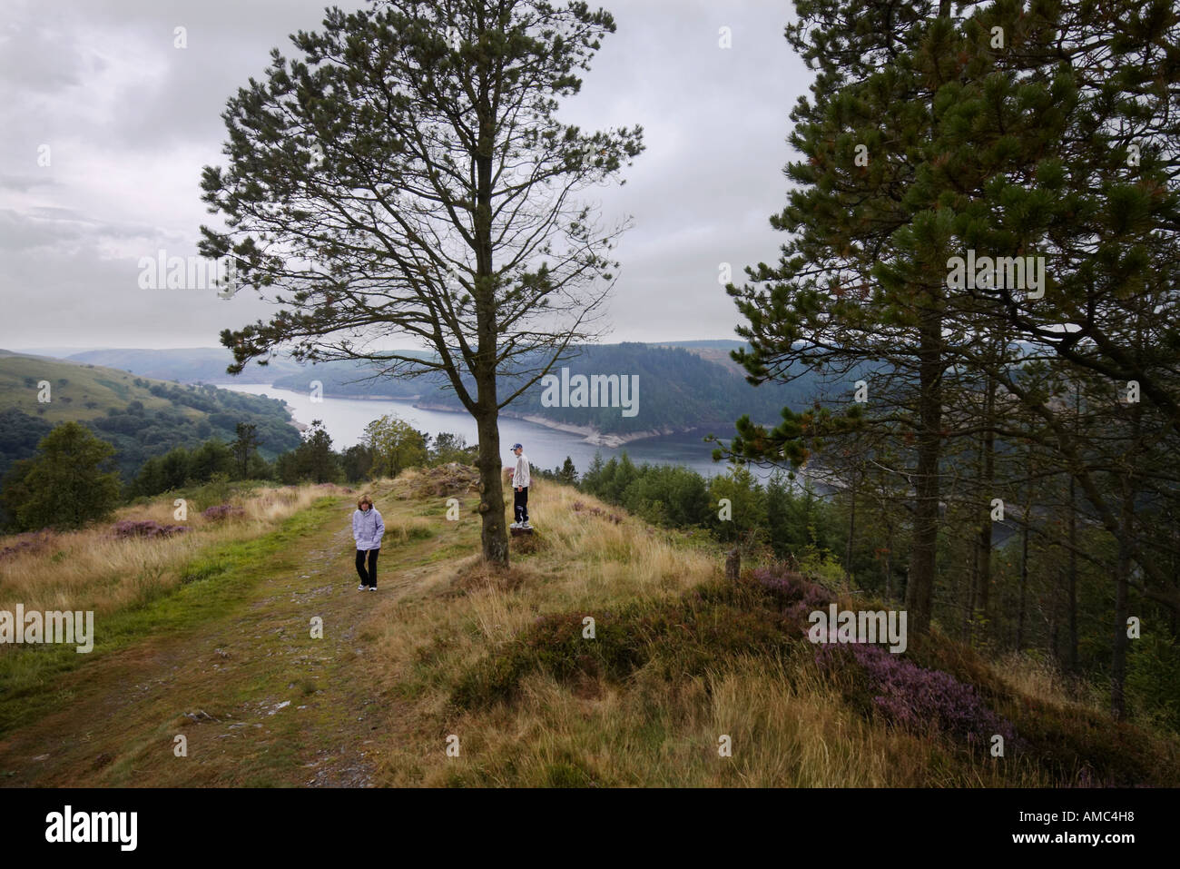 visitors on hill overlooking Llyn Brianne Reservoir in Camarthenshire ...