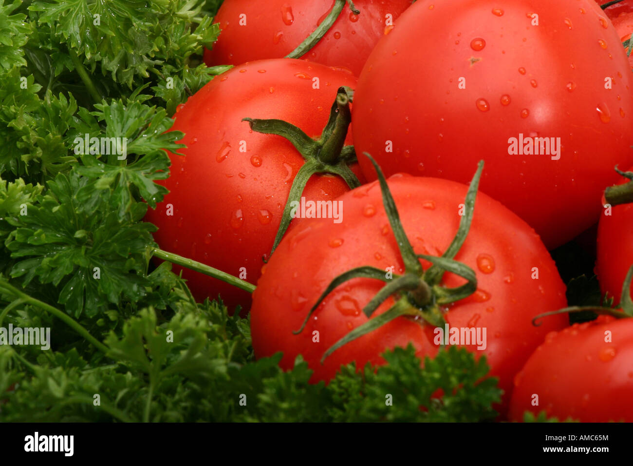 Ripe red tomatoes close up pictures images photos photograph overhead ...