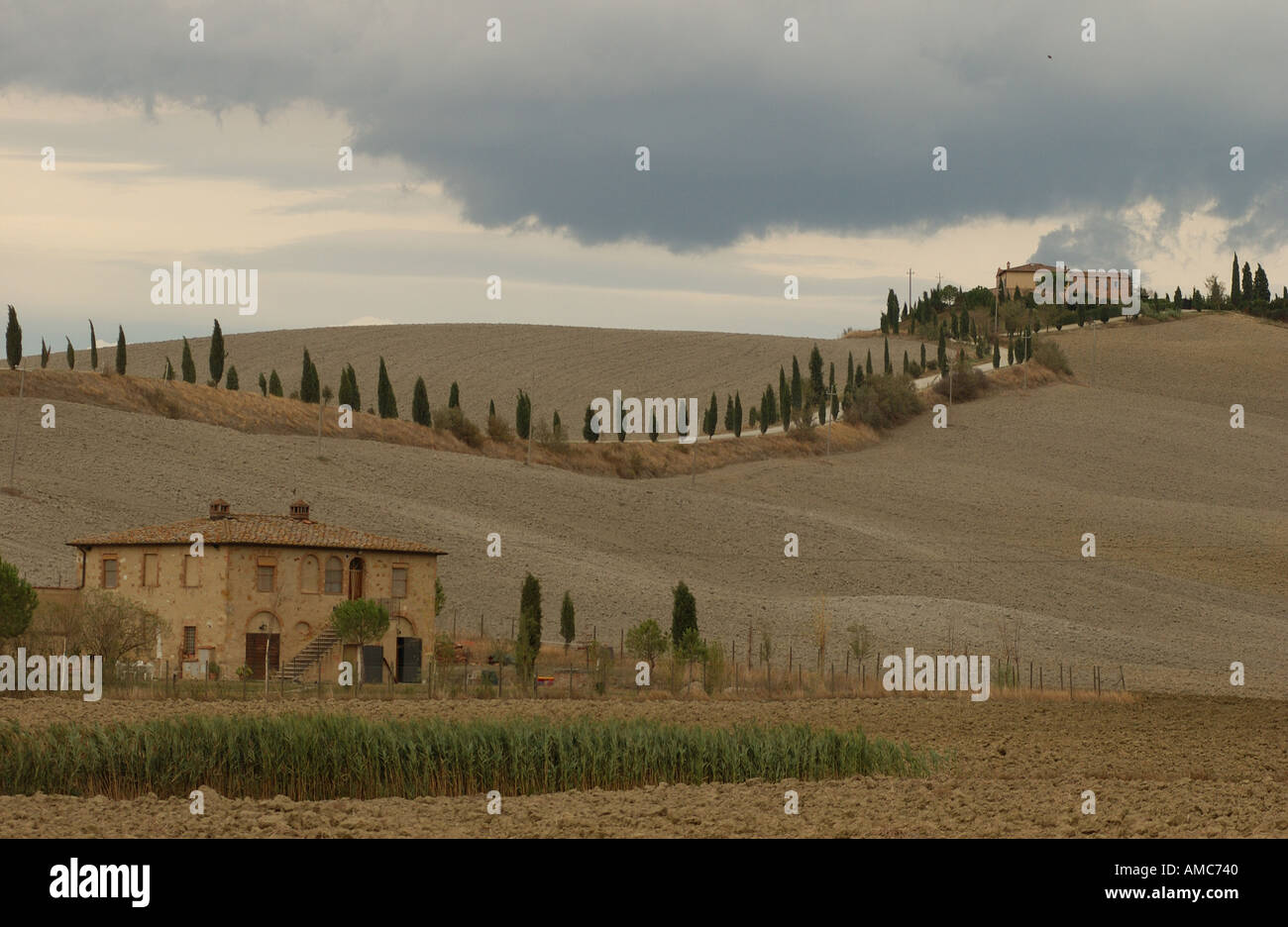 Tuscan landscape and cyprus trees hi-res stock photography and images ...
