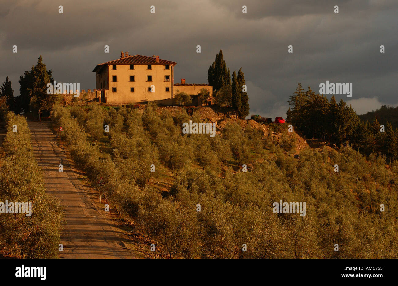 Tuscan landscape and cyprus trees hi-res stock photography and images ...