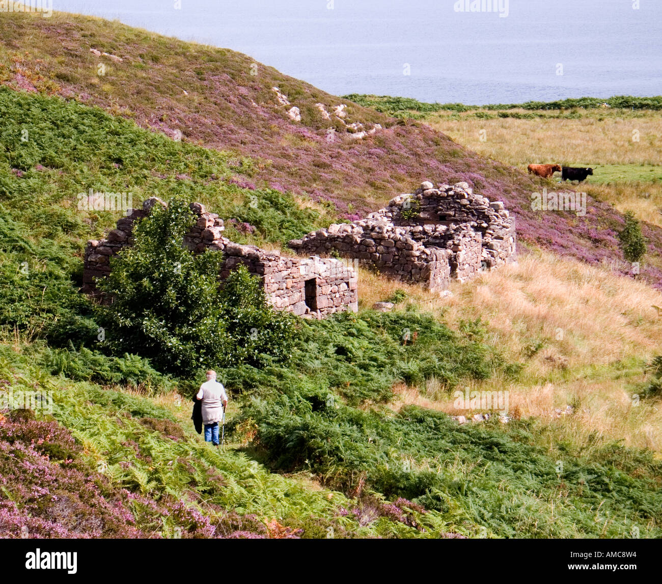 Tanera mhor scotland summer isles hi-res stock photography and images ...