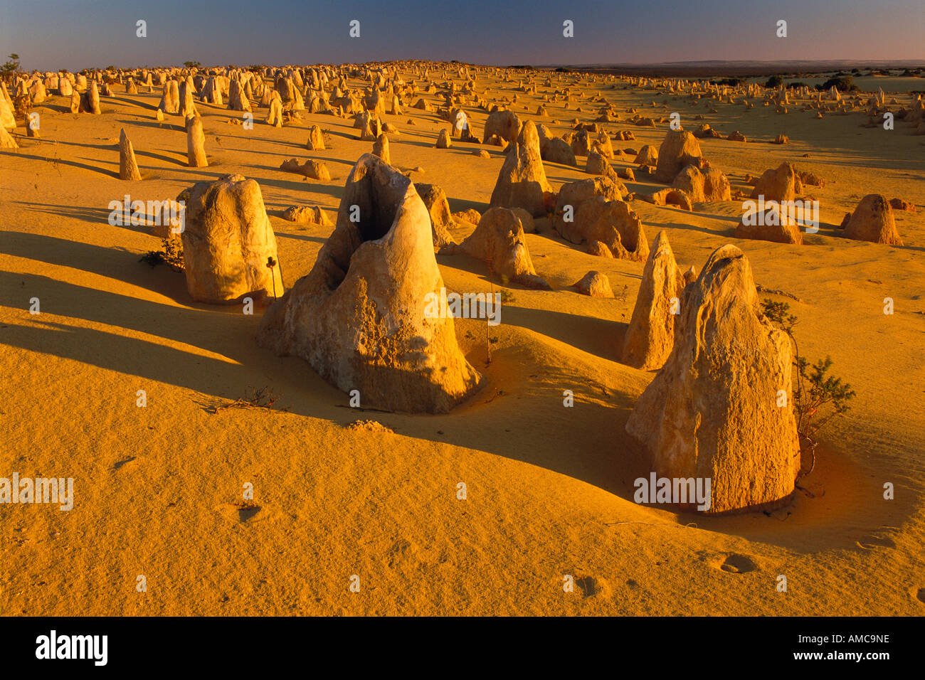 Limestone Pinnacles, Pinnacle Desert, Western Australia, Australia ...