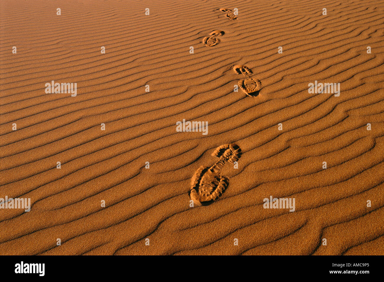 Footprints in Desert, South Australia, Australia Stock Photo - Alamy