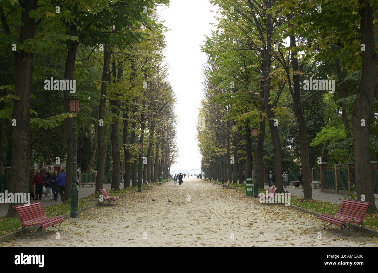 Tree lined walkway in a park in Venice Italy Stock Photo - Alamy