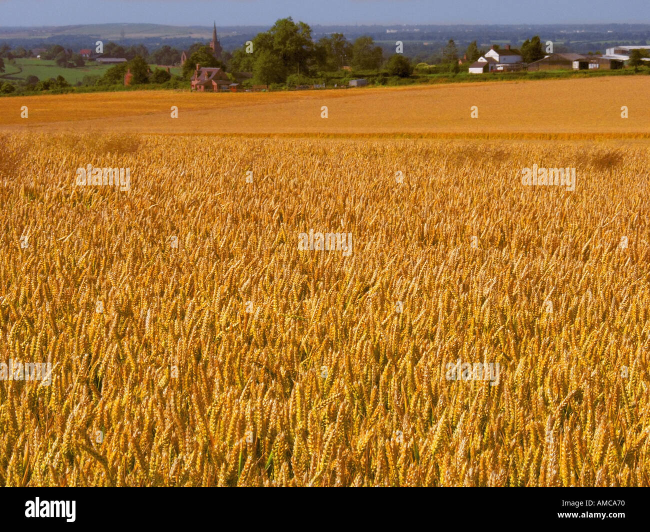 Agro genetics hi-res stock photography and images - Alamy