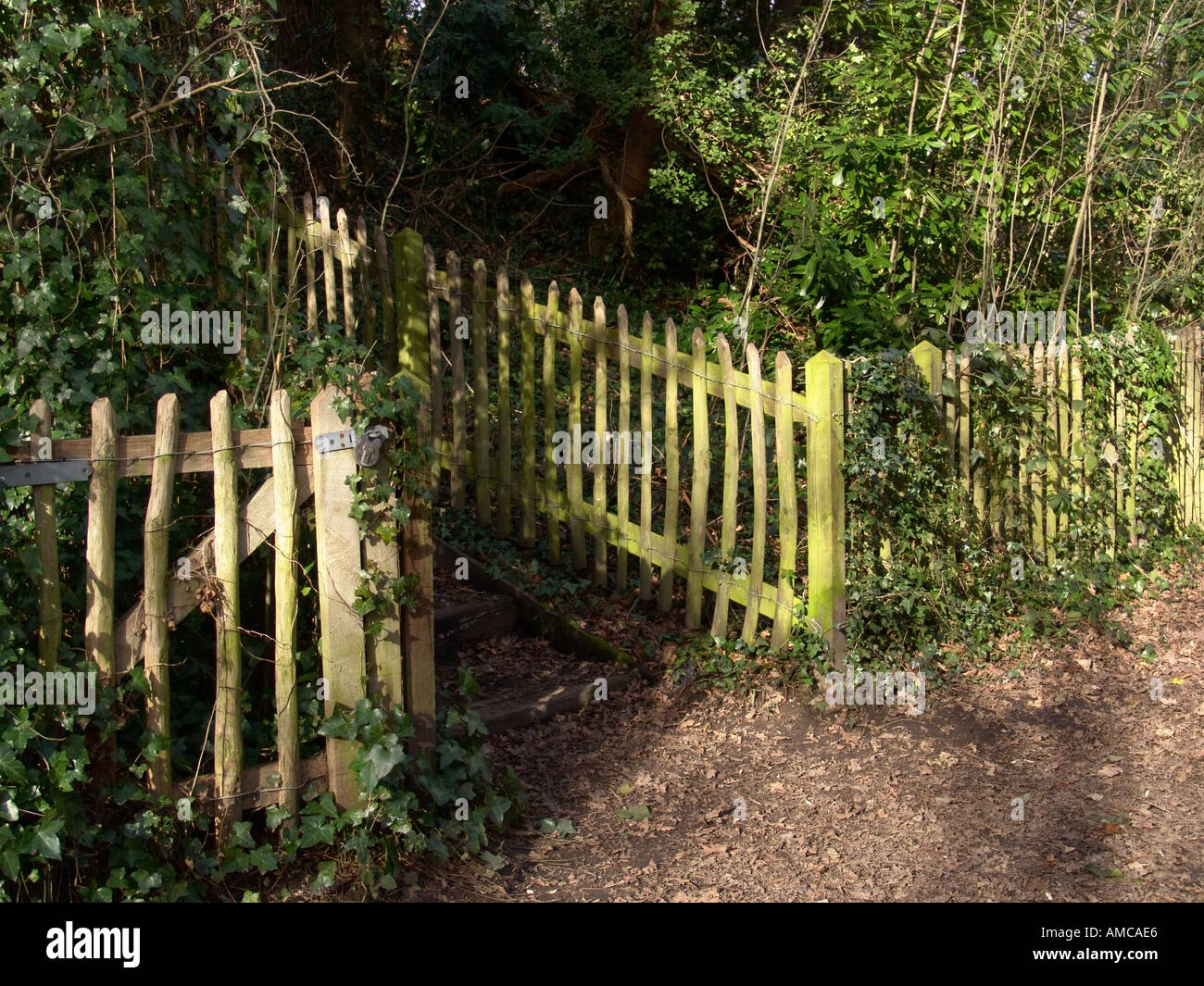 eu europe uk united kingdom great britain england wooden fencing ...