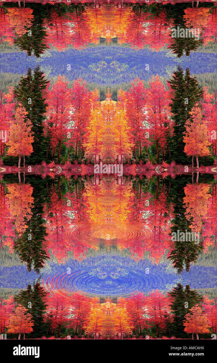 "Mirror of Autumn" Surreal photo-digital illustration Stock Photo - Alamy