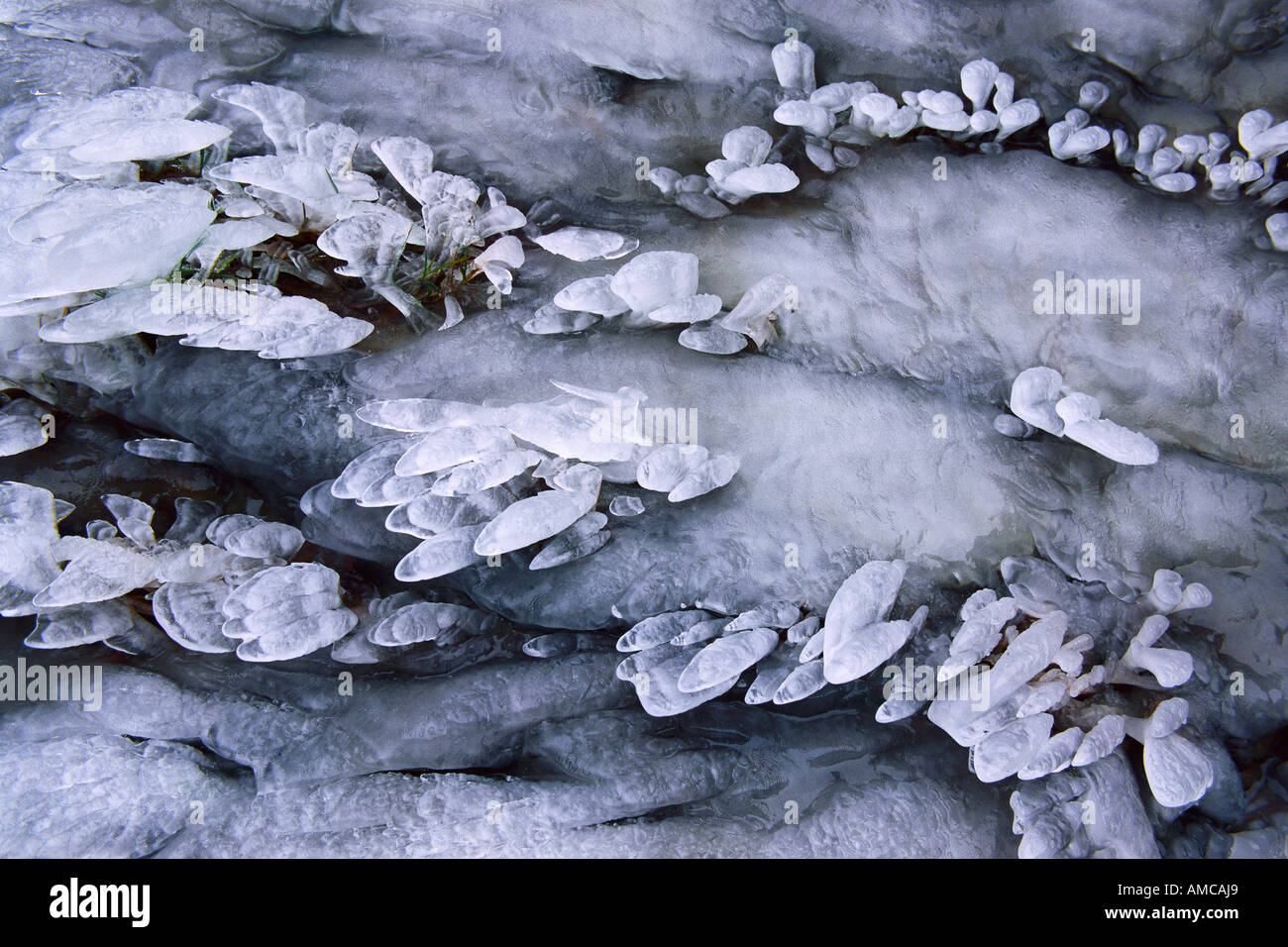 Close Up of Ice Stock Photo - Alamy