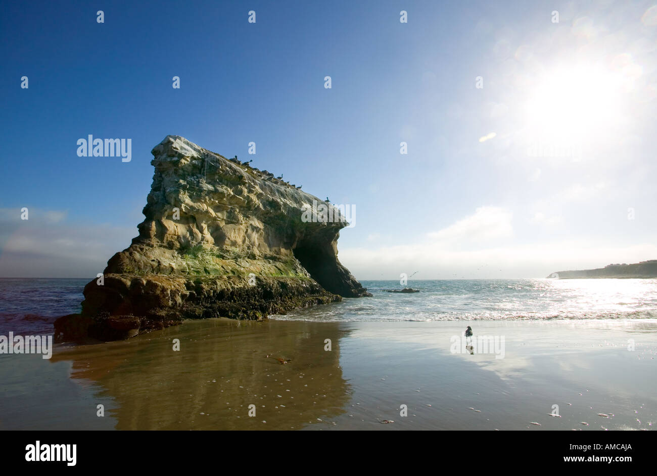 Natural Bridge State Park, California Coast Stock Photo - Alamy