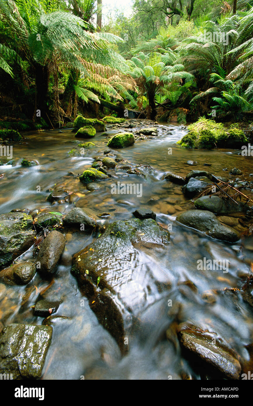 Bulga park hi-res stock photography and images - Alamy