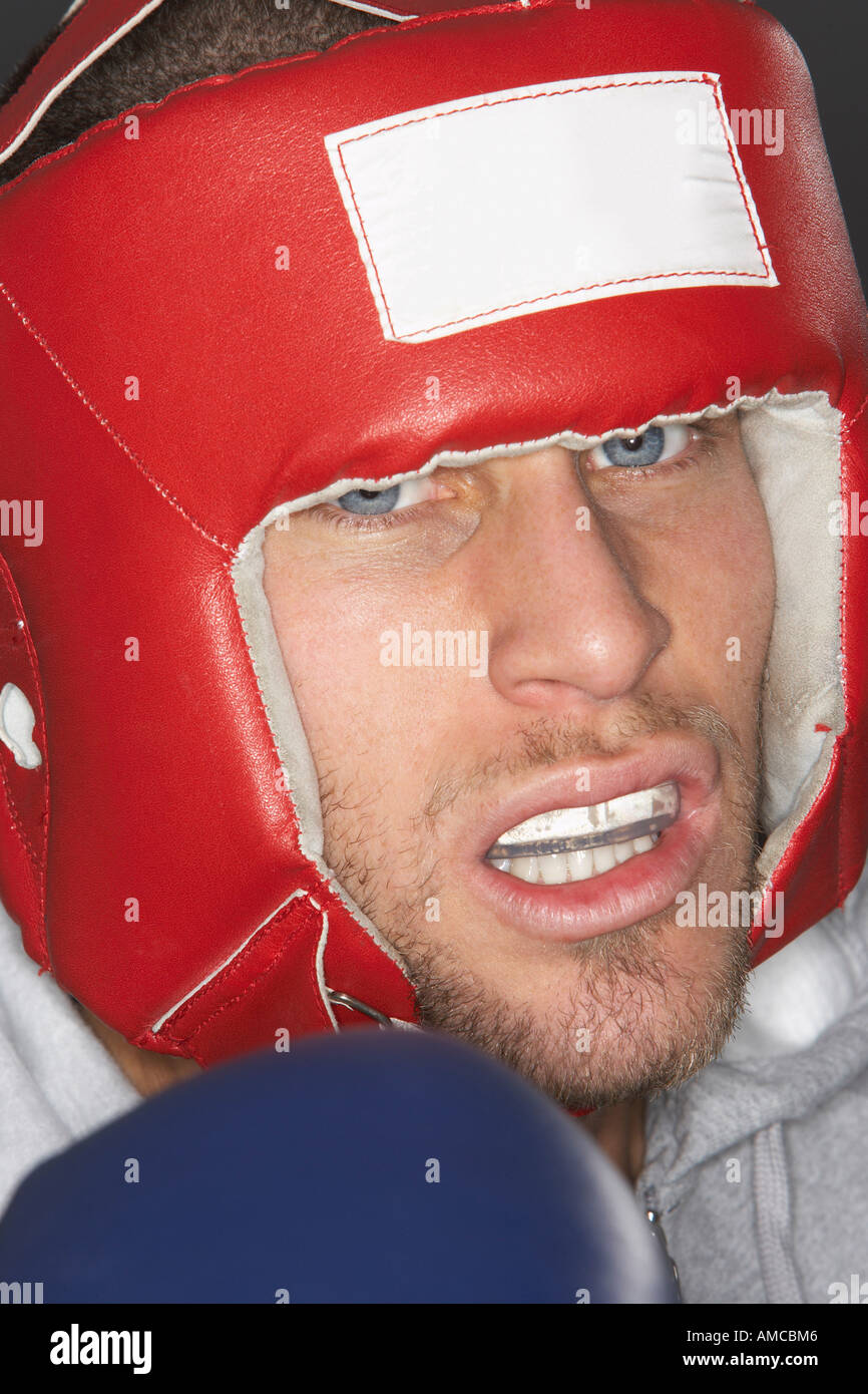 Portrait of Boxer Stock Photo - Alamy