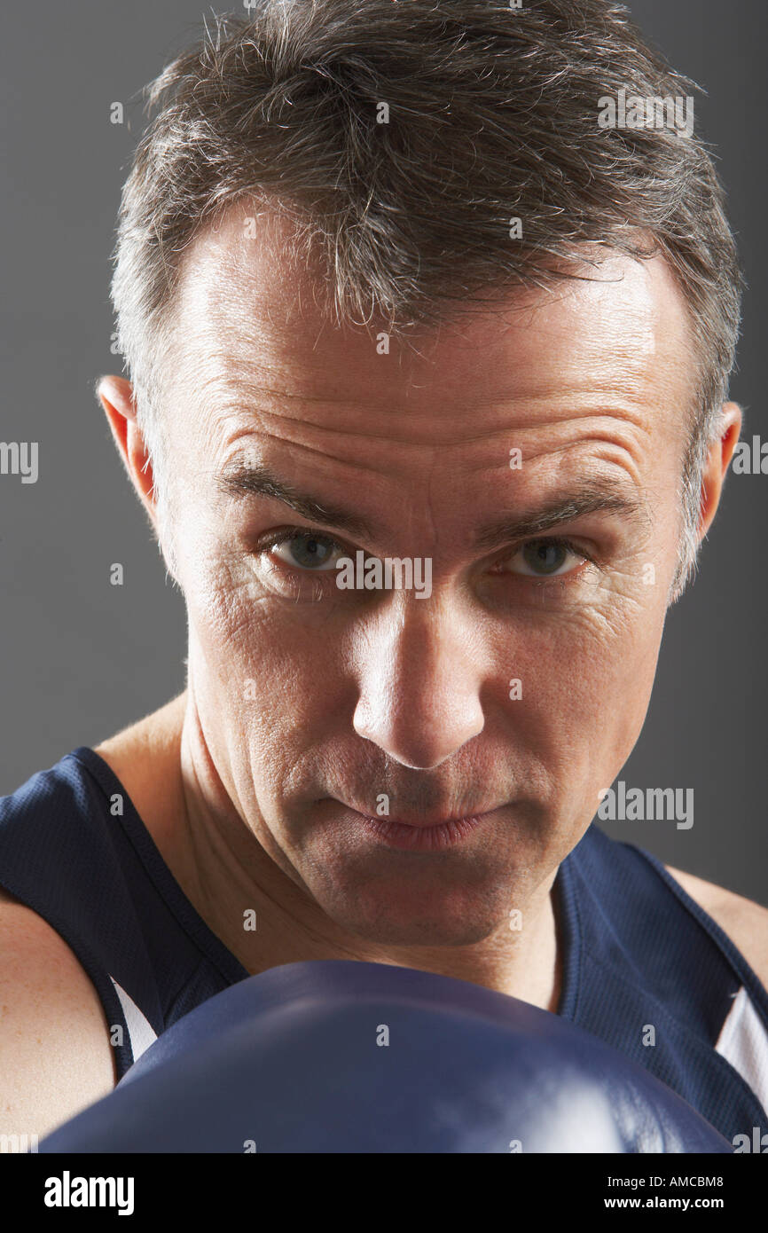Portrait of Boxer Stock Photo - Alamy