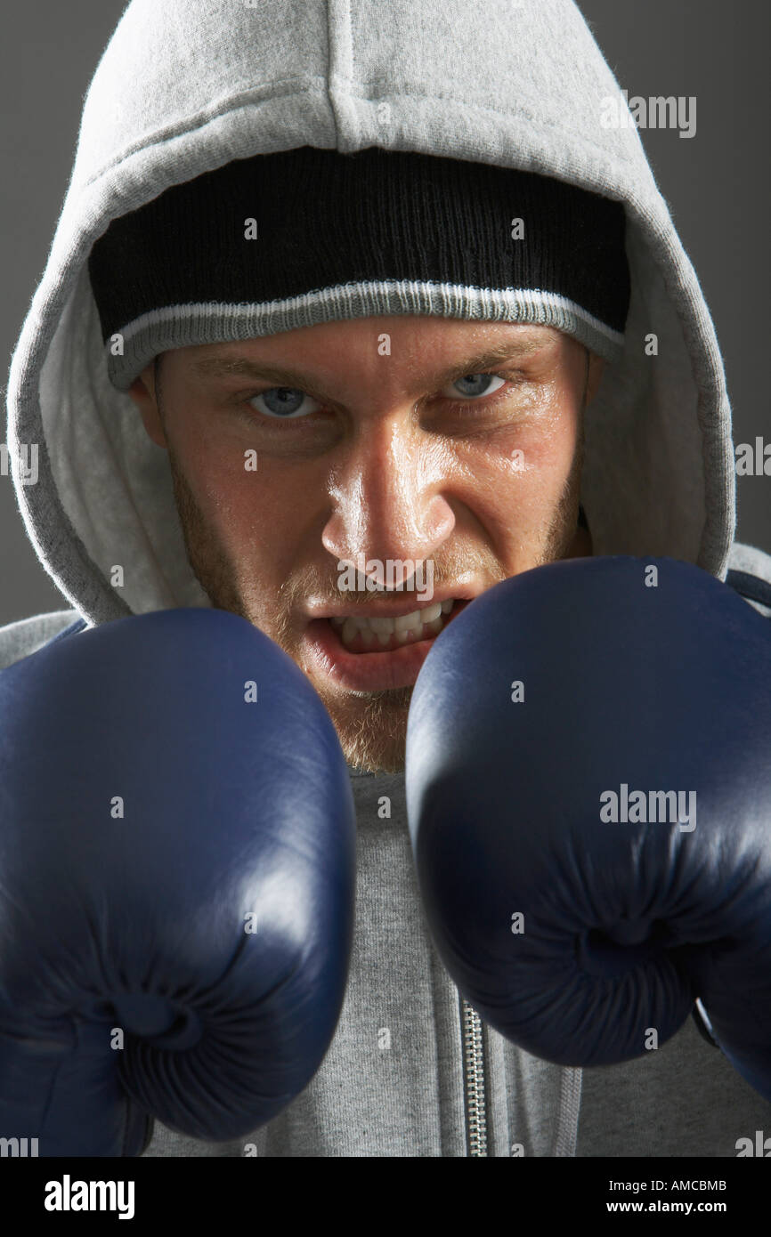Portrait of Boxer Stock Photo - Alamy