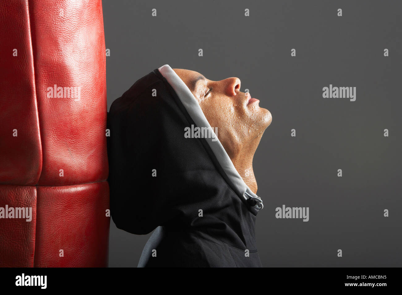 Portrait of Boxer Stock Photo - Alamy