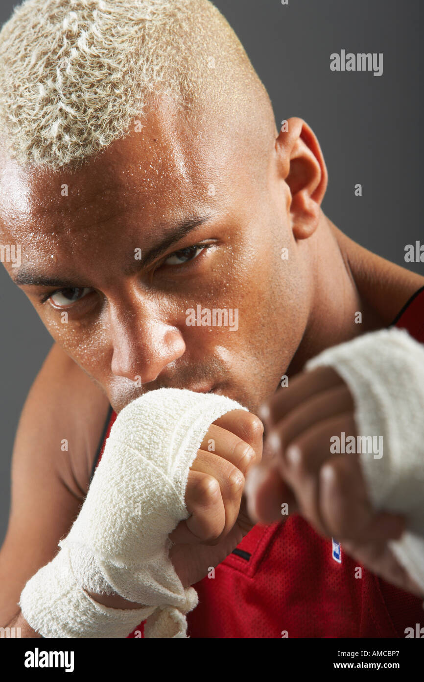Portrait of Boxer Stock Photo - Alamy