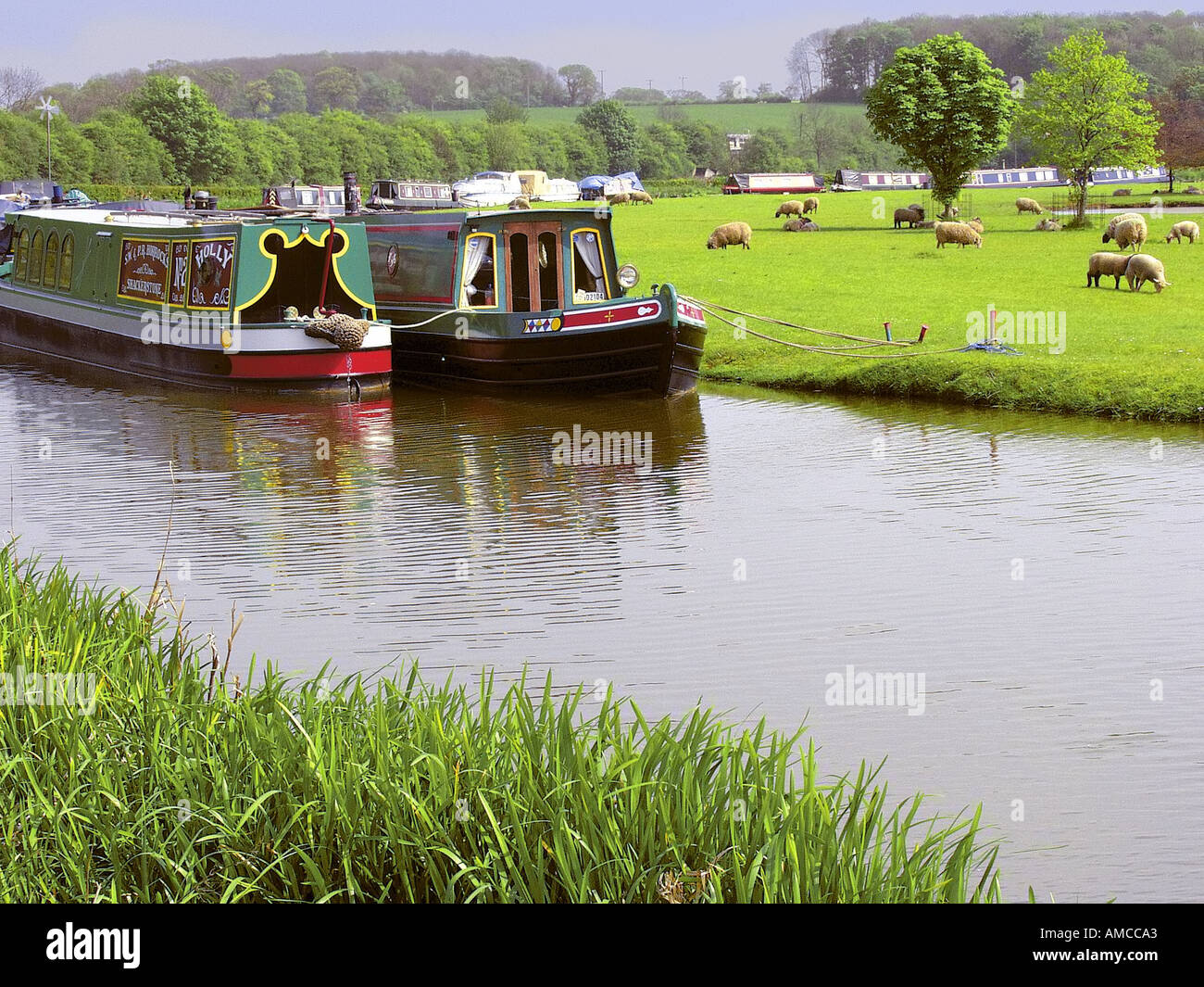 Shackerstone hi-res stock photography and images - Alamy