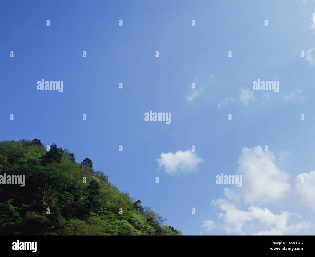 Okutama hi-res stock photography and images - Alamy