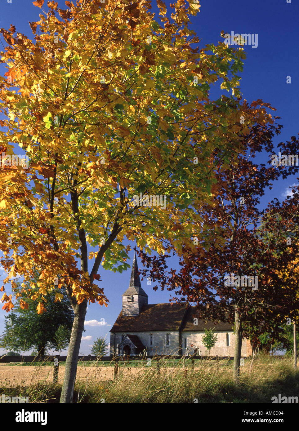Aythorpe roding hi-res stock photography and images - Alamy