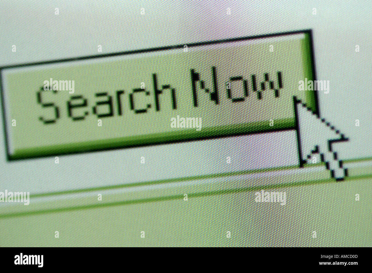 Green SEARCH NOW computer button and cursor arrow Stock Photo - Alamy