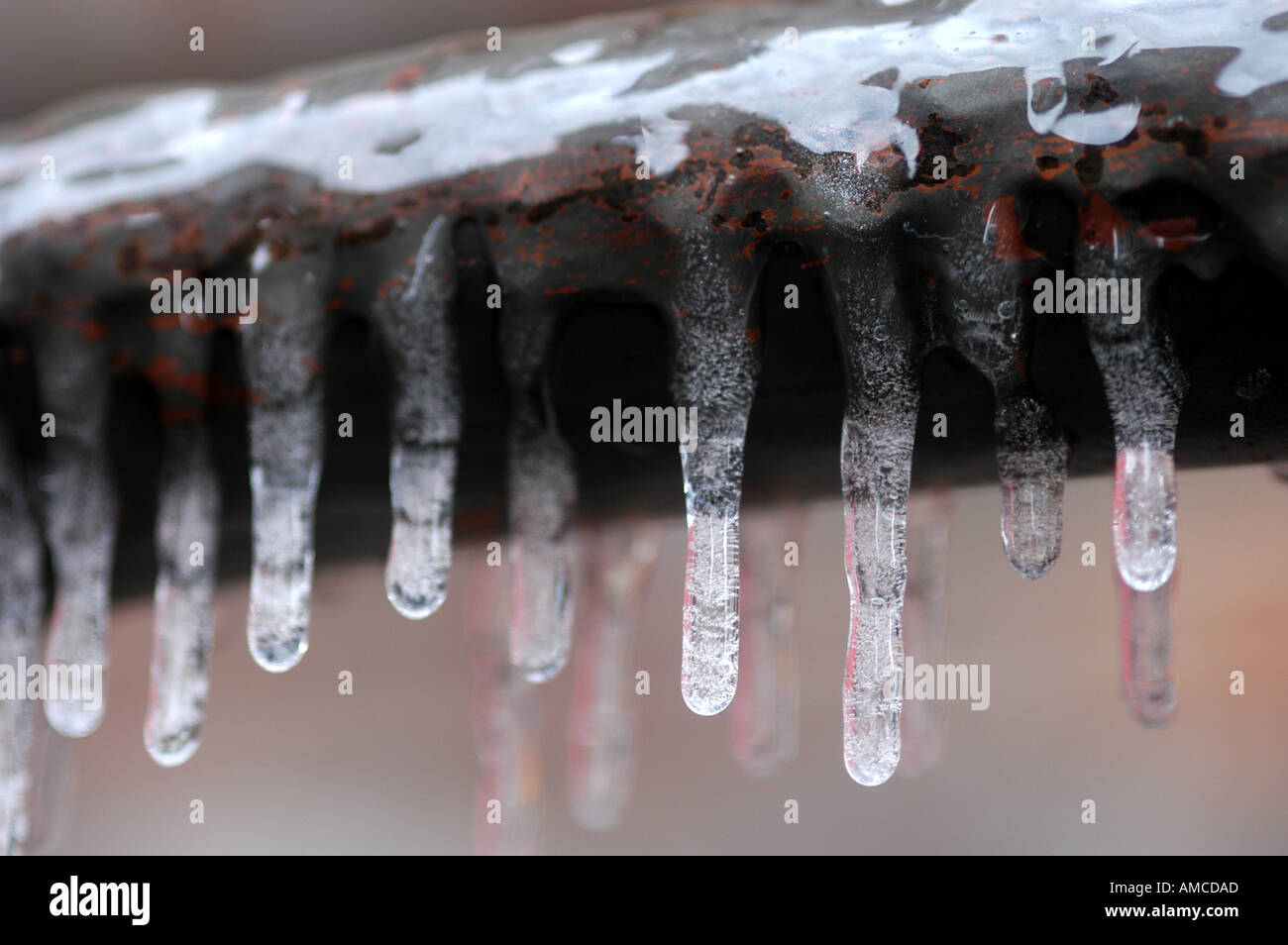 Ice hanging icicles on horizontal black pole slight angle gray bkgrnd ...