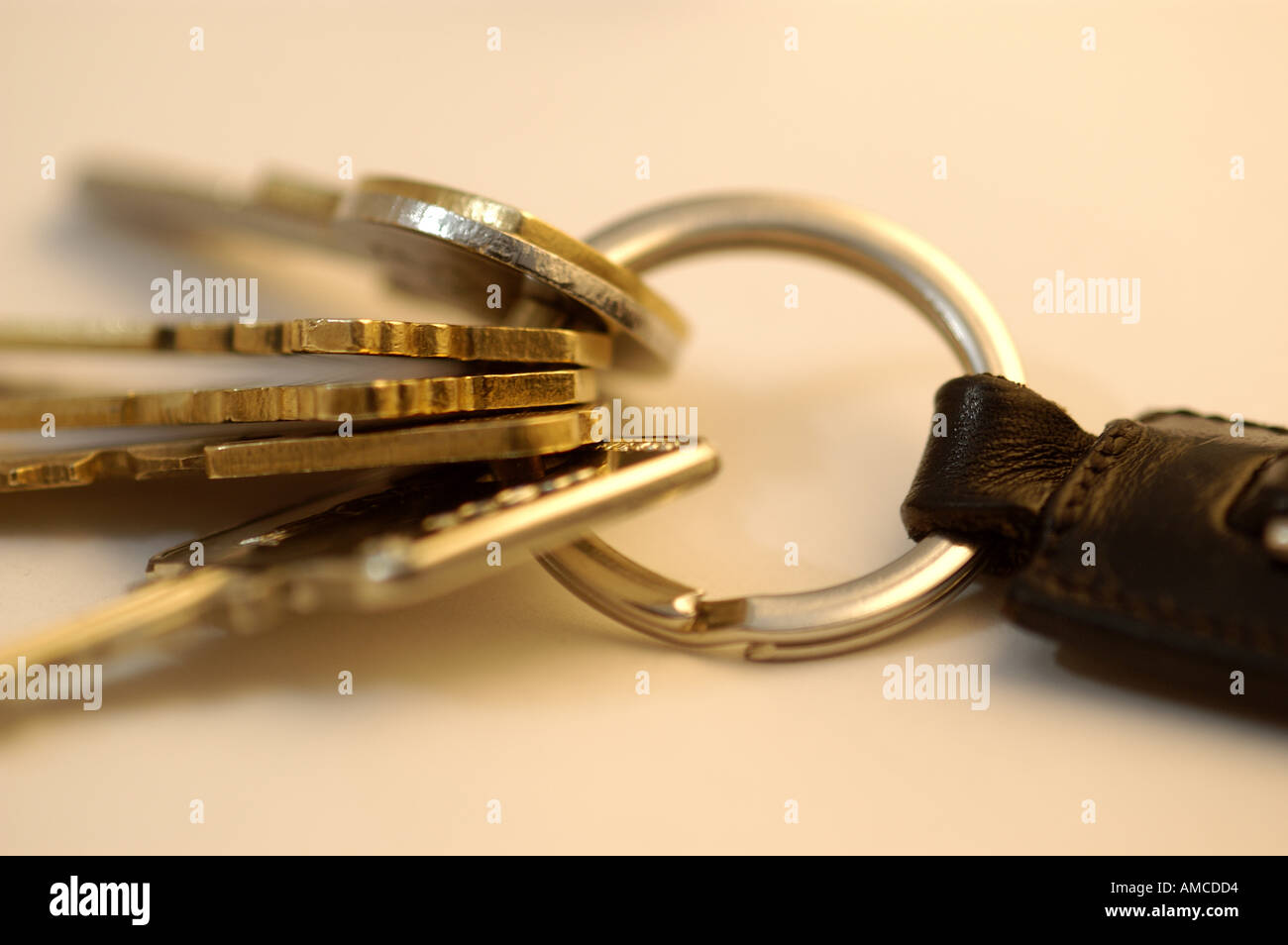 keys key on a keyholder gold silver and black color colours Stock Photo ...
