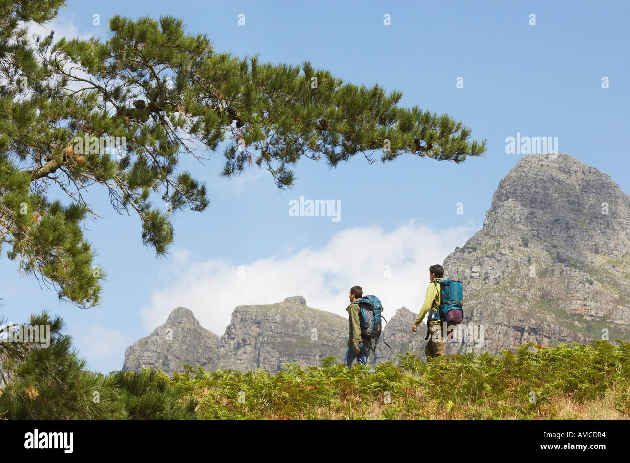 Back View Of Two Friends Hiking High Resolution Stock Photography and ...