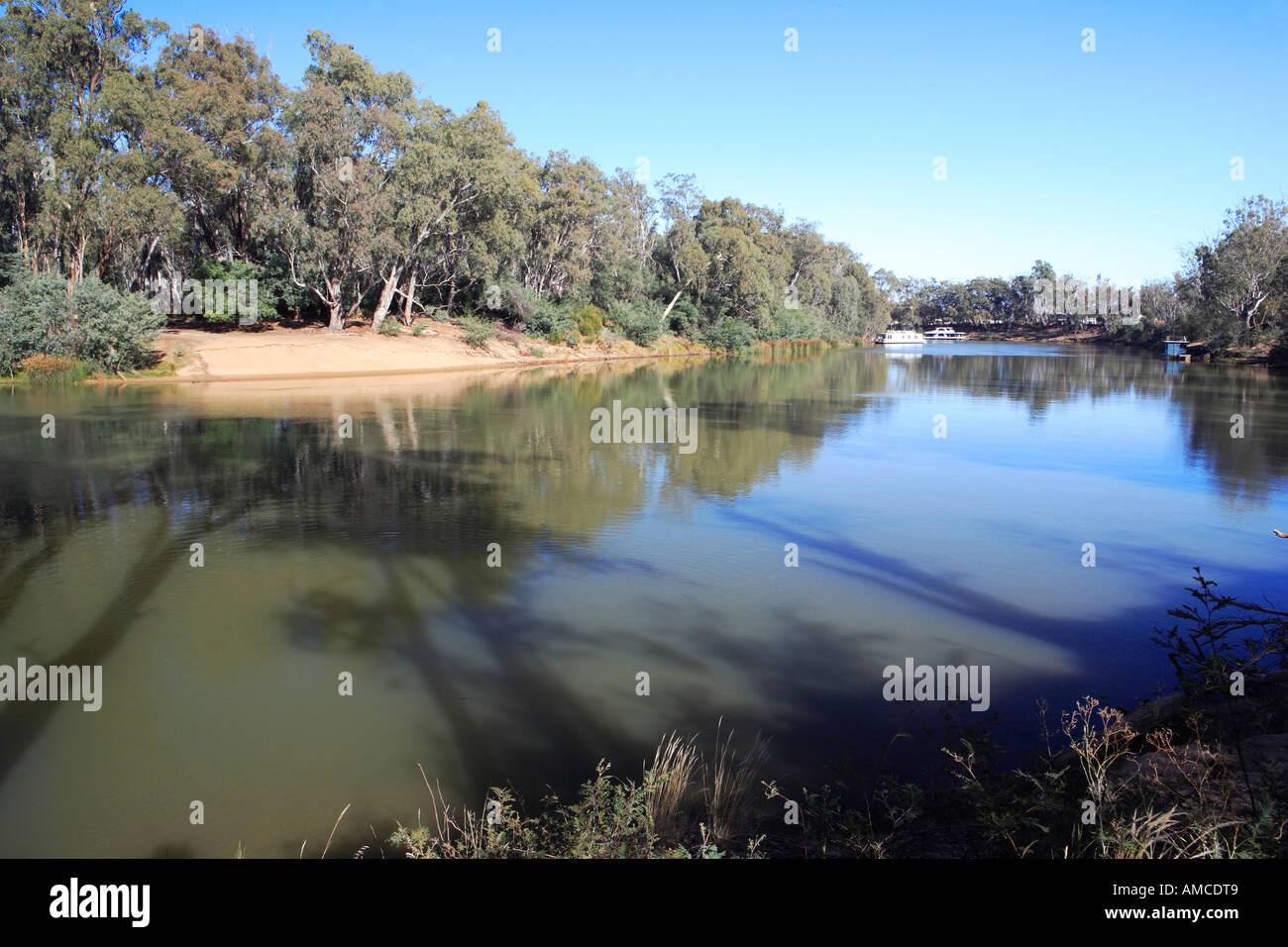 South bank of the Murray river near Echuca, redgums, long shadows ...