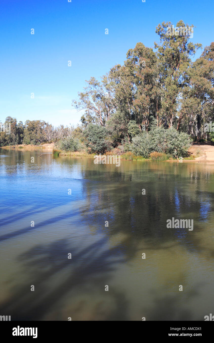 South bank of the Murray river near Echuca, redgums, long shadows ...