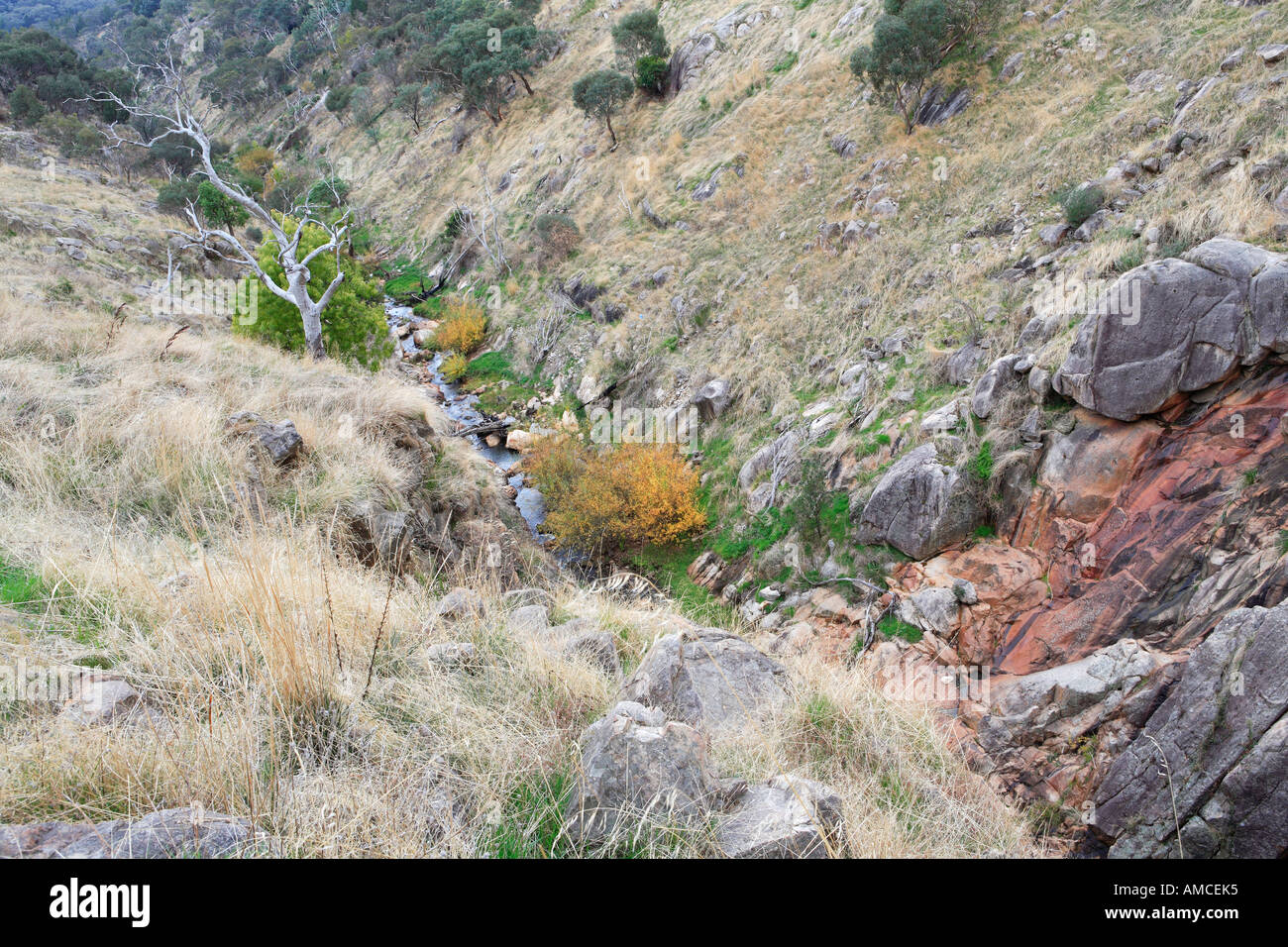 Spring Creek and Gorge Beechworth Historic Park North East Victoria ...
