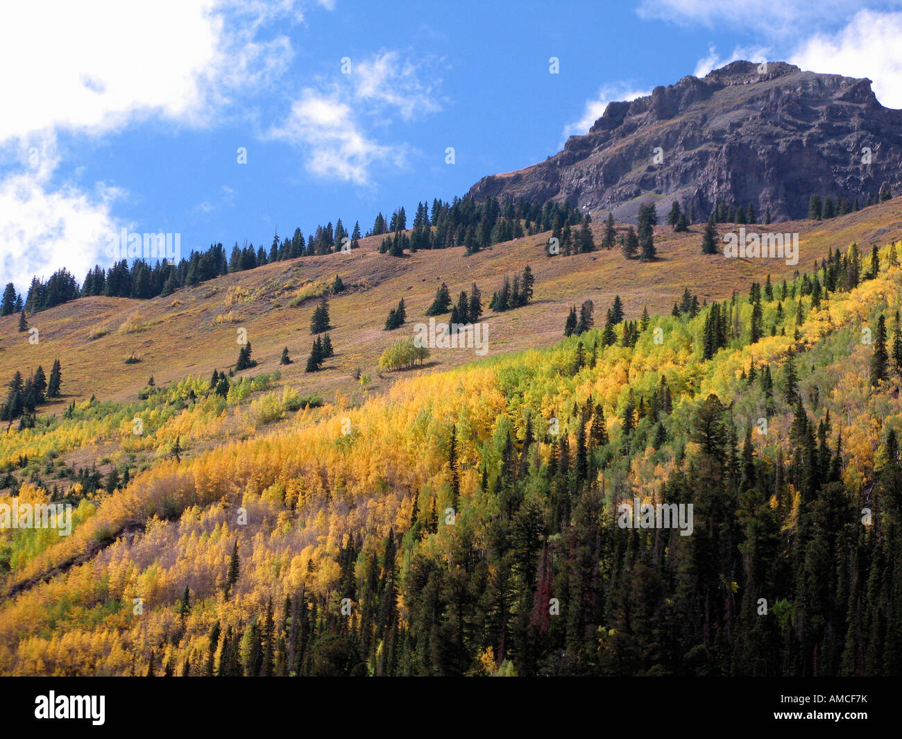 Fall Foliage, Colorado Stock Photo - Alamy