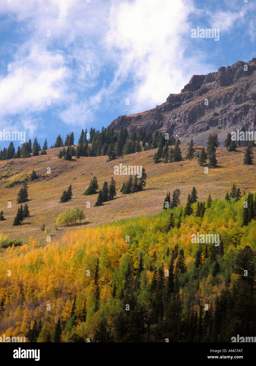 Fall Foliage, Colorado Stock Photo - Alamy